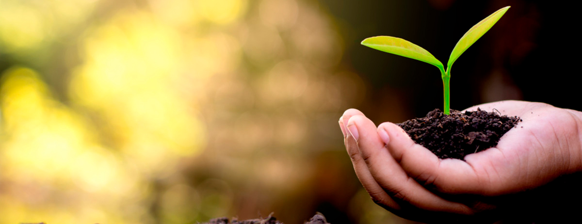 Hidroplus | www.hidroplus.cl