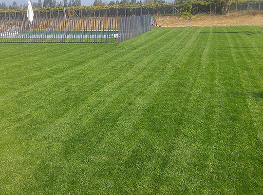 Hidroplus | www.hidroplus.cl